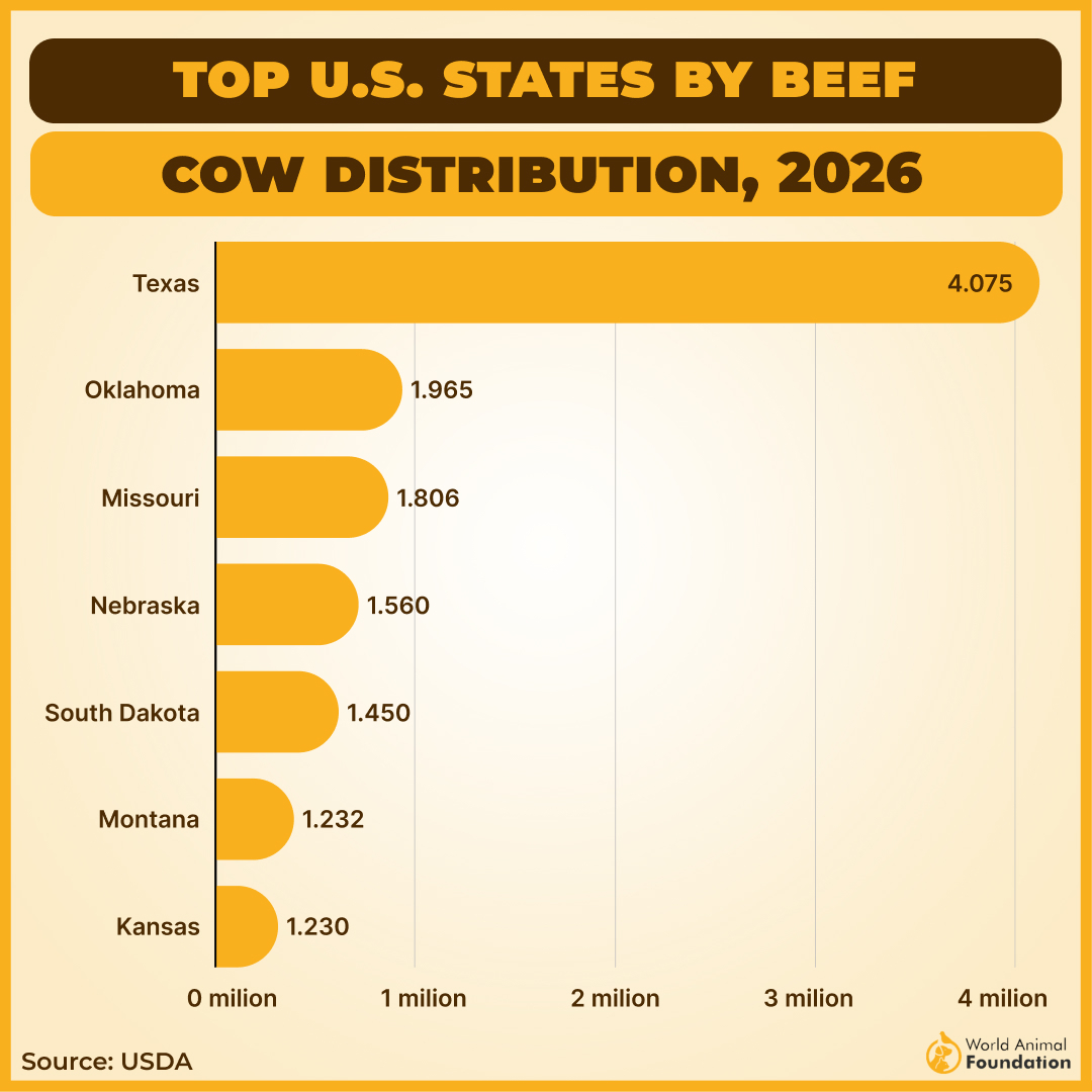 What State Produces The Most Beef In 2026