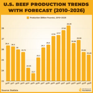 What State Produces The Most Beef In 2026