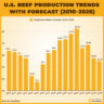 What State Produces The Most Beef In 2026